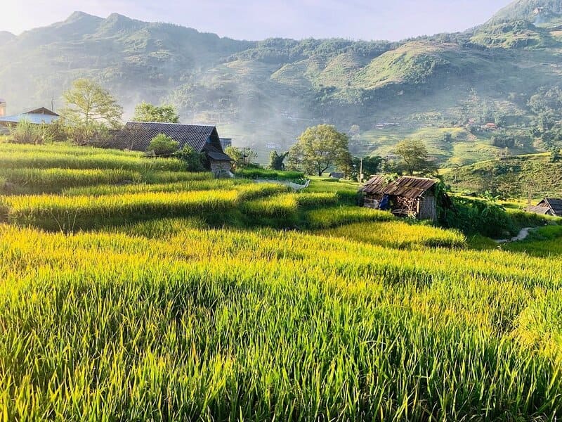 Ultimate guide to Lao Chai, Sapa: How to trek, stay, and connect